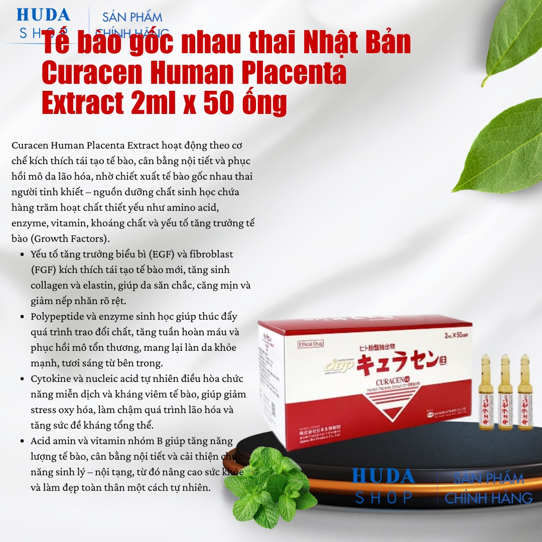 Tế bào gốc nhau thai Nhật Bản Curacen Human Placenta Extract 2ml x 50 ống