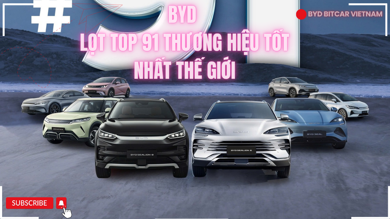 BYD VIET NAM