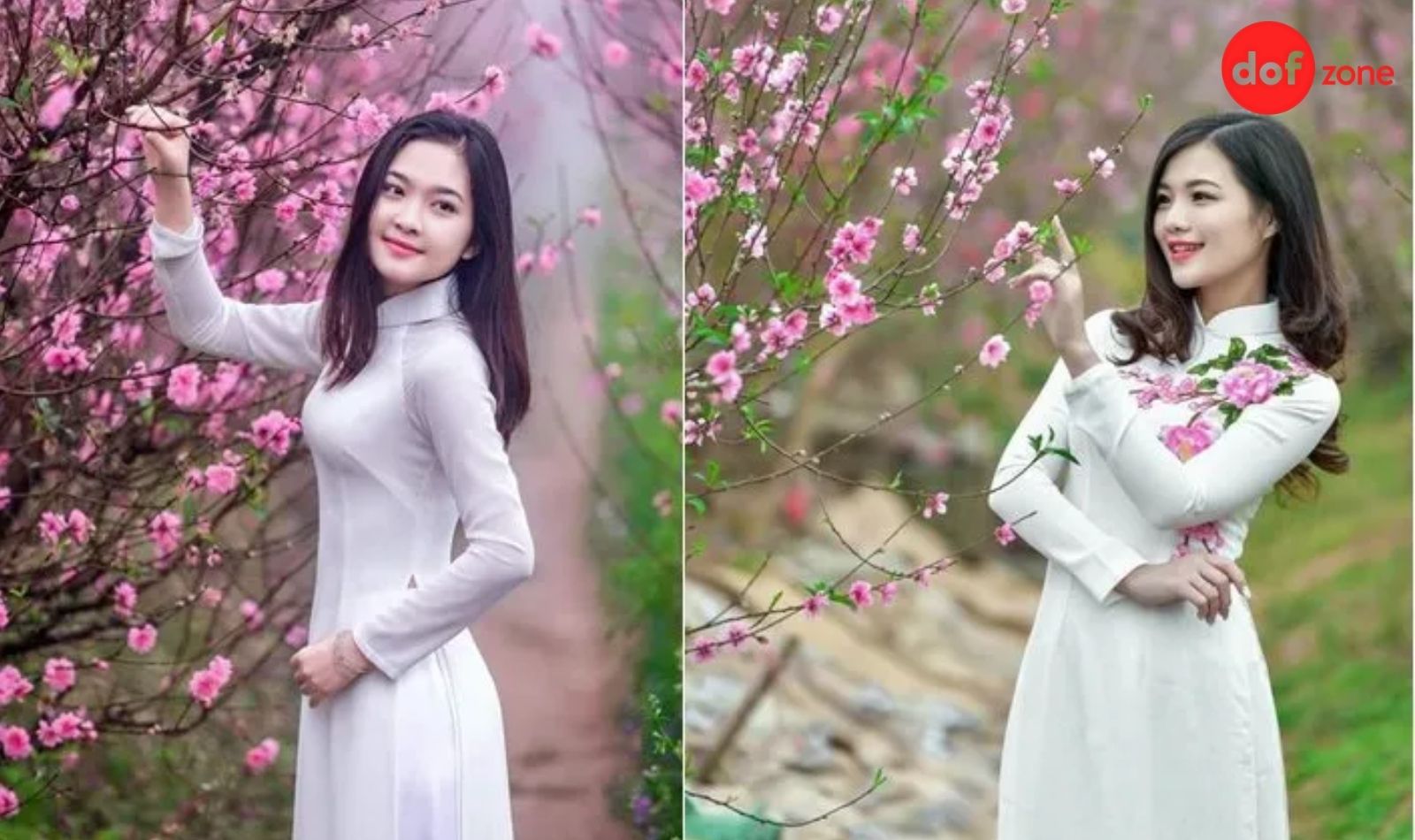 12+ cách tạo dáng chụp ảnh áo dài tết 2026 xinh xắn cho chị em