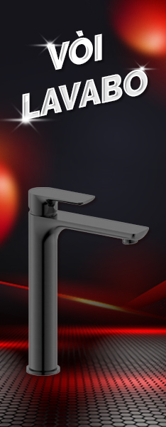 VÒI LAVABO