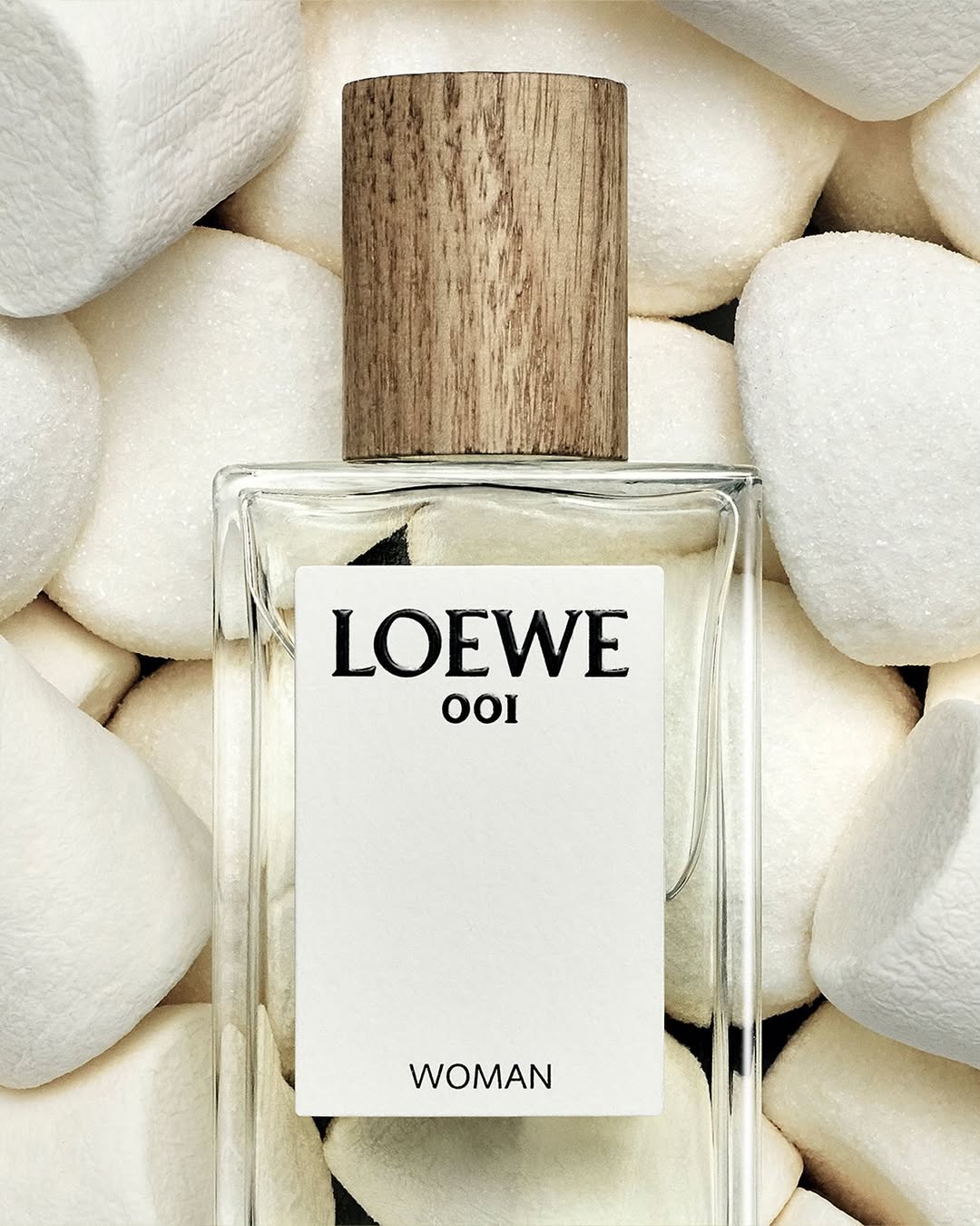 LOEWE 001 - HÀNH TRÌNH ĐÁNH THỨC BÌNH MINH CẢM XÚC