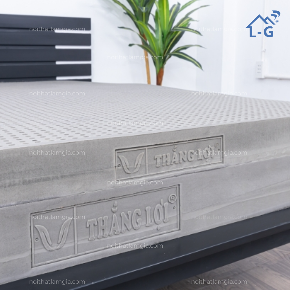 Nệm Cao Su Thiên Nhiên Thắng Lợi Bobo Than Hoạt Tính (NCSTNTLBOBO)