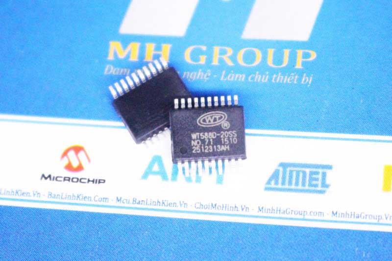 WT588D-20SS SSOP20 IC Audio