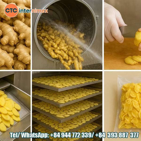 Inside The Production Process Of Export - Quality Dried Ginger