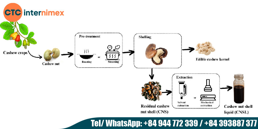 Applications Of Cashew Nut Shell Oil In Industry And Medicine