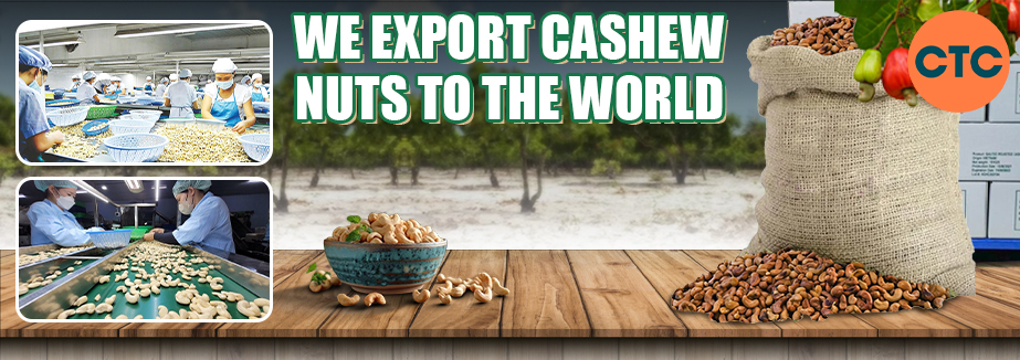 CTC - VIETNAM EXPORT