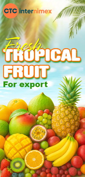 Fresh Tropical Fruits